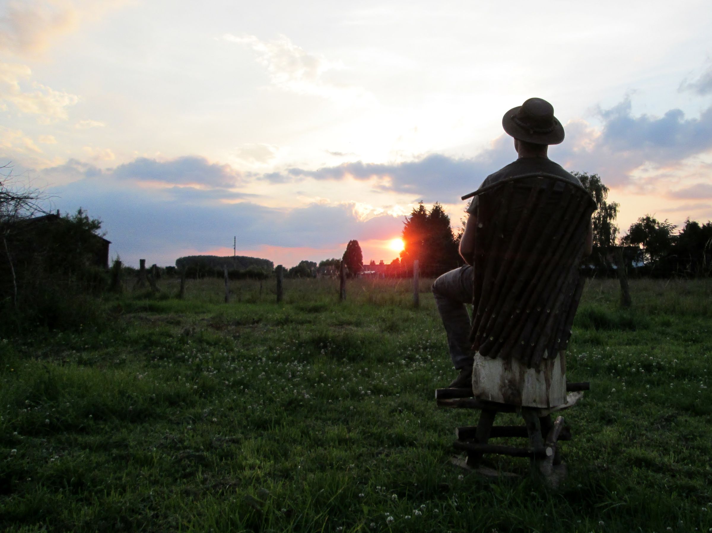 Stump Throne : 5 Steps (with Pictures) - Instructables