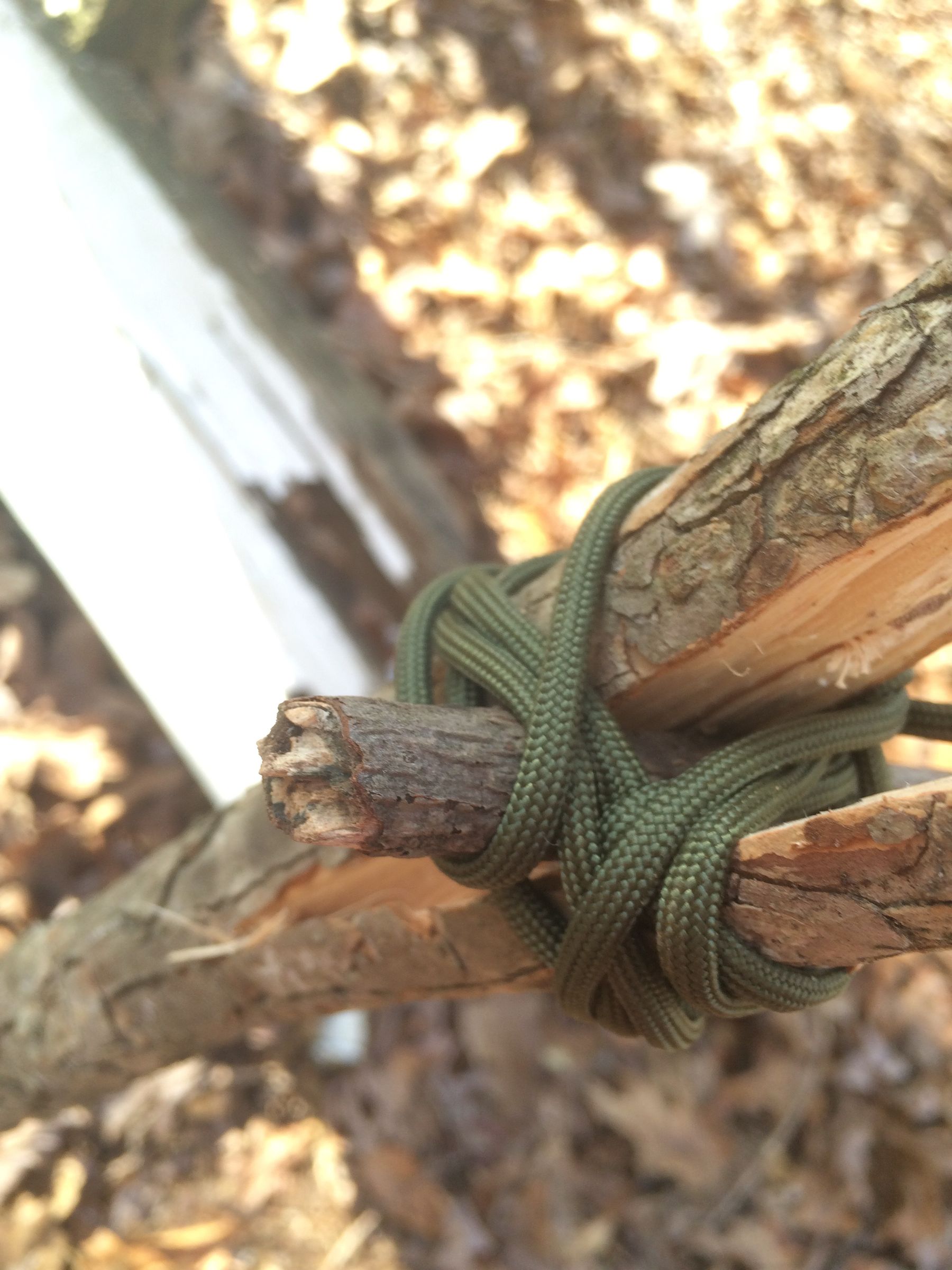 Primitive Spear : 7 Steps (with Pictures) - Instructables