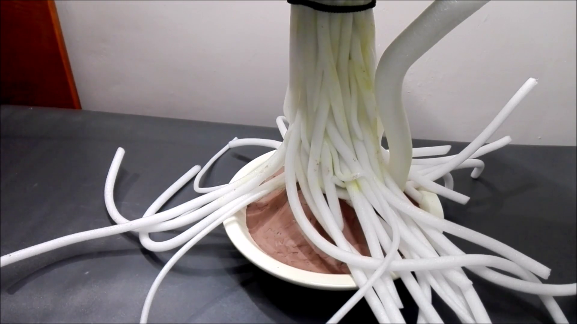 DIY Banyan Tree / Bonsai Tree : 4 Steps (with Pictures) - Instructables