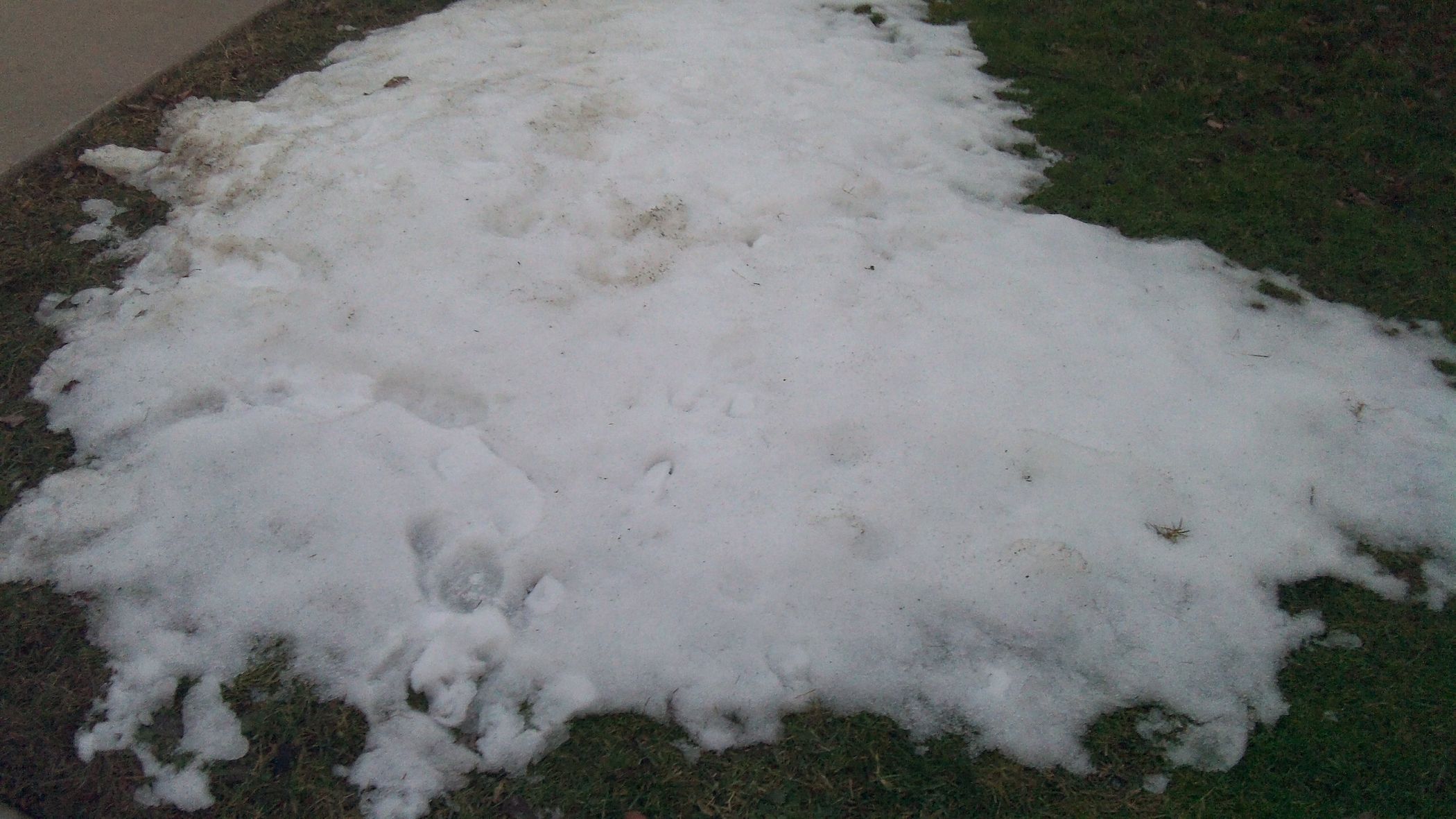 How to Make a Snowball : 4 Steps - Instructables