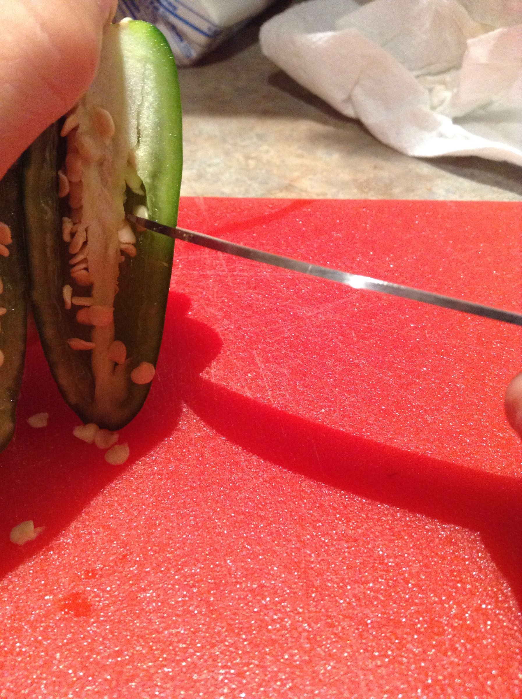 Grow Plants From a Seed : 12 Steps (with Pictures) - Instructables