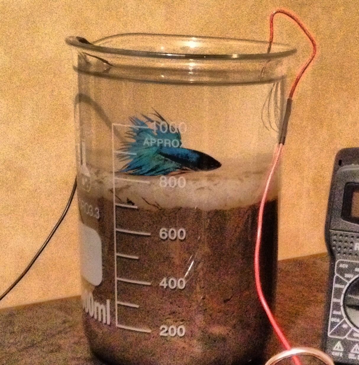 Microbial Fuel Cell of Science!!! : 4 Steps (with Pictures) - Instructables