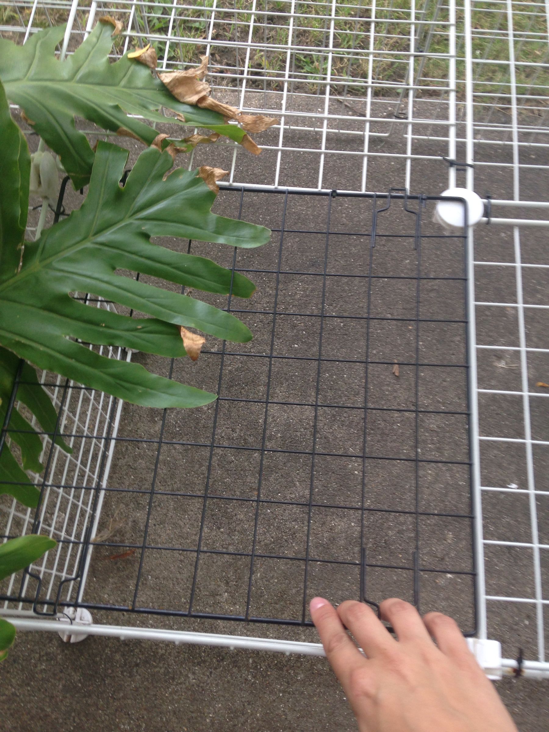 DIY Cat Run : 5 Steps - Instructables