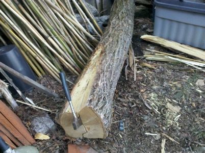 Splitting Black Locust Logs With Wedges : 7 Steps (with Pictures ...