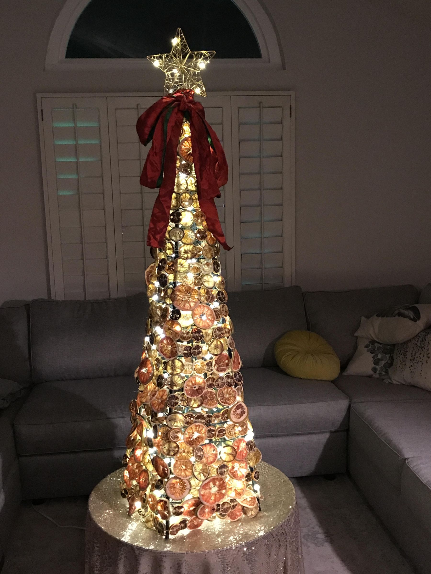 Repurposed/Upcycled Christmas Tree From Dried Citrus : 5 Steps (with ...