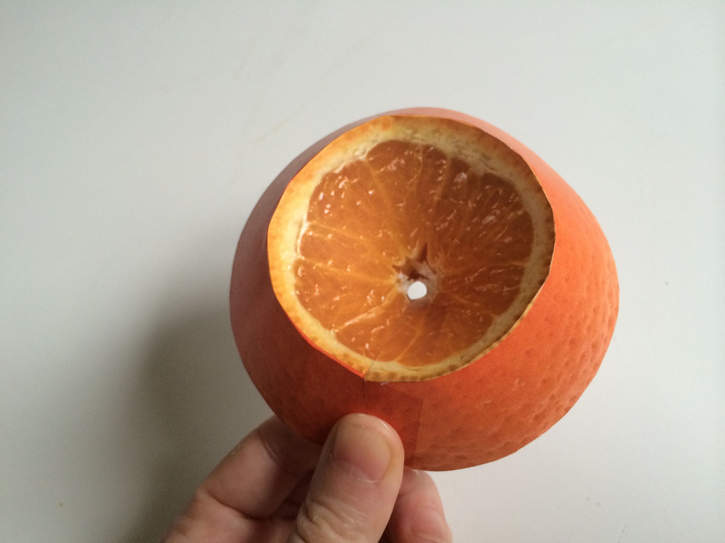 Cheap, Efficient, Easy (and Cute!) Fruit Fly Trap : 3 Steps (with ...