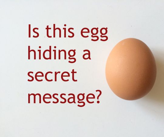 The Secret Behind the Secret Message Egg : 4 Steps - Instructables