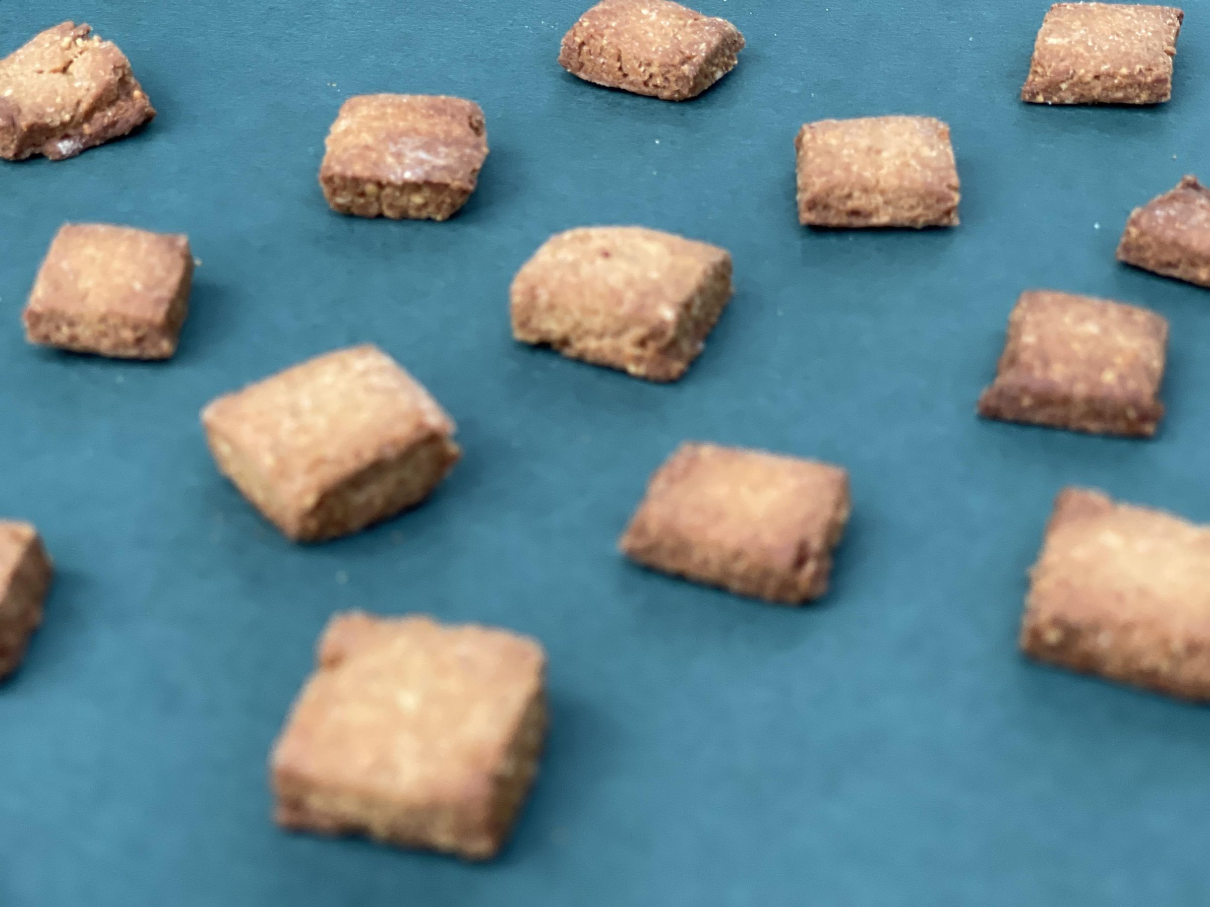 Easy 5 Minute Peanut Butter Dog Treat Recipe : 5 Steps (with Pictures ...