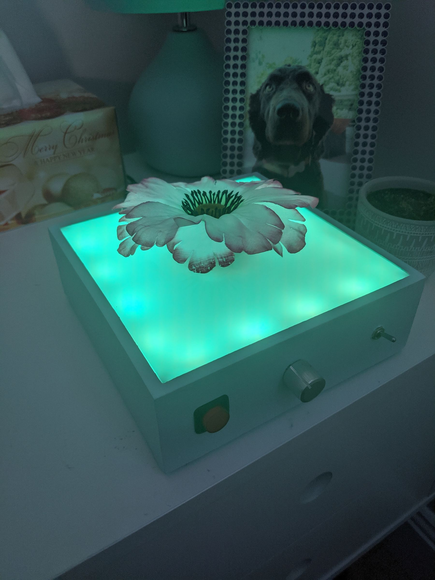 Levitating Flower Light : 4 Steps - Instructables