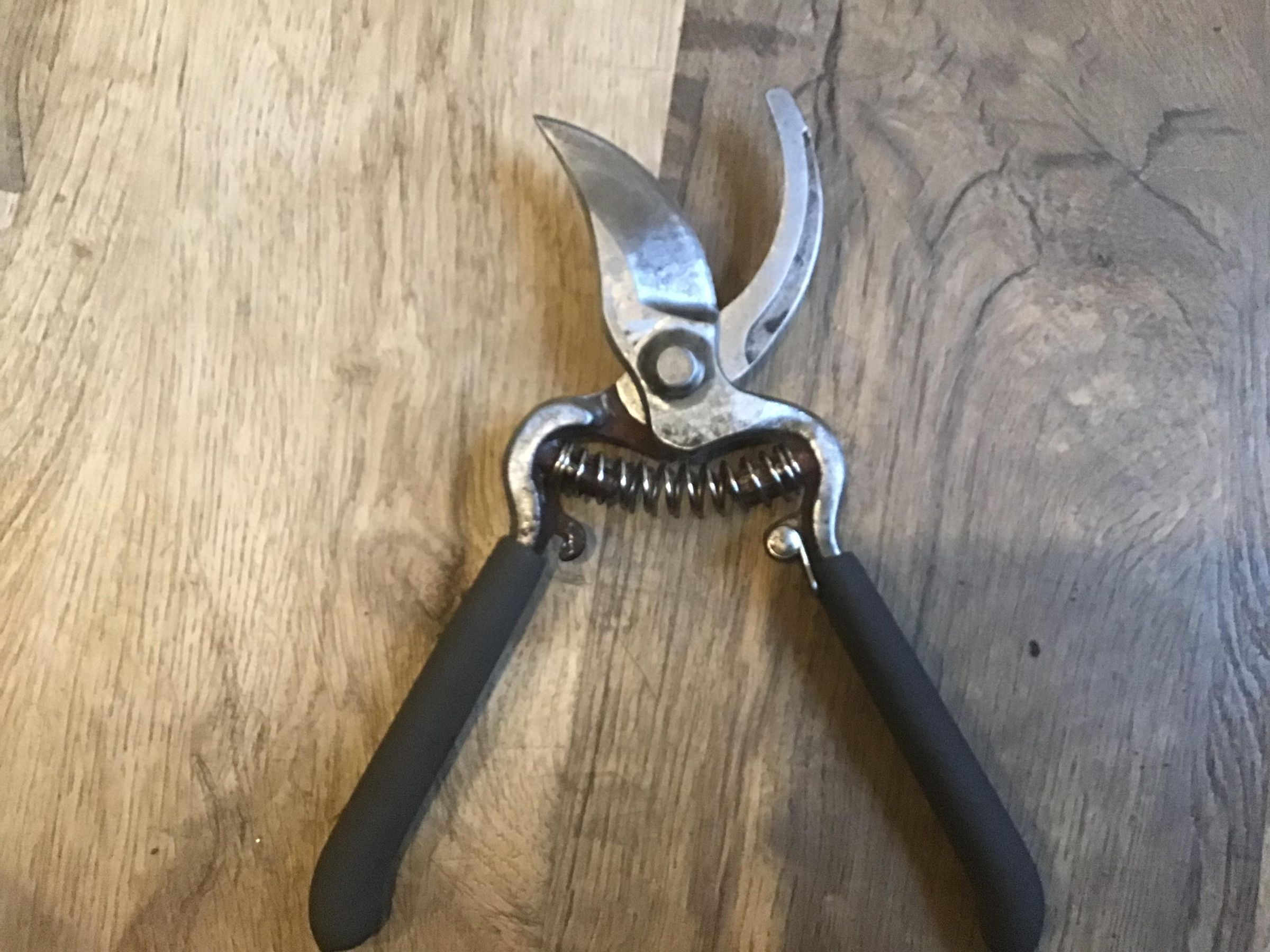 How to Remove Rust From Garden Tools!!! : 5 Steps - Instructables