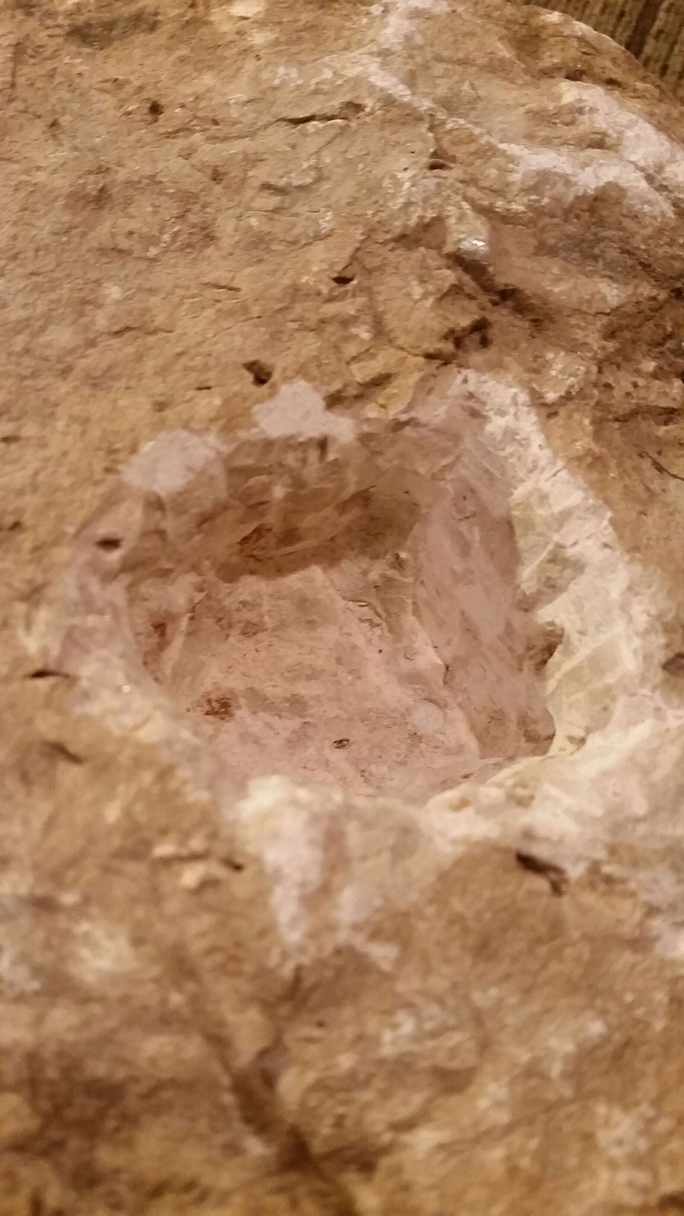 Under a Rock Geocache : 7 Steps - Instructables