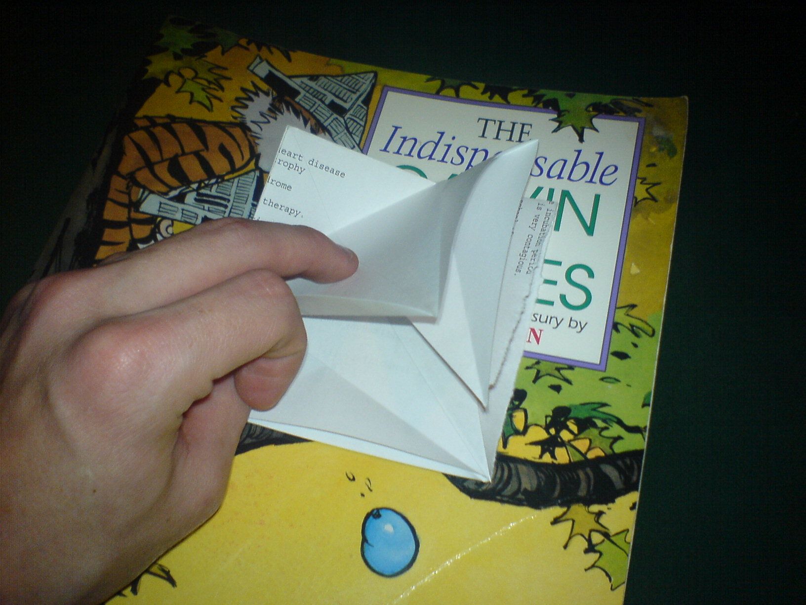 Flying Origami Crane. : 9 Steps - Instructables