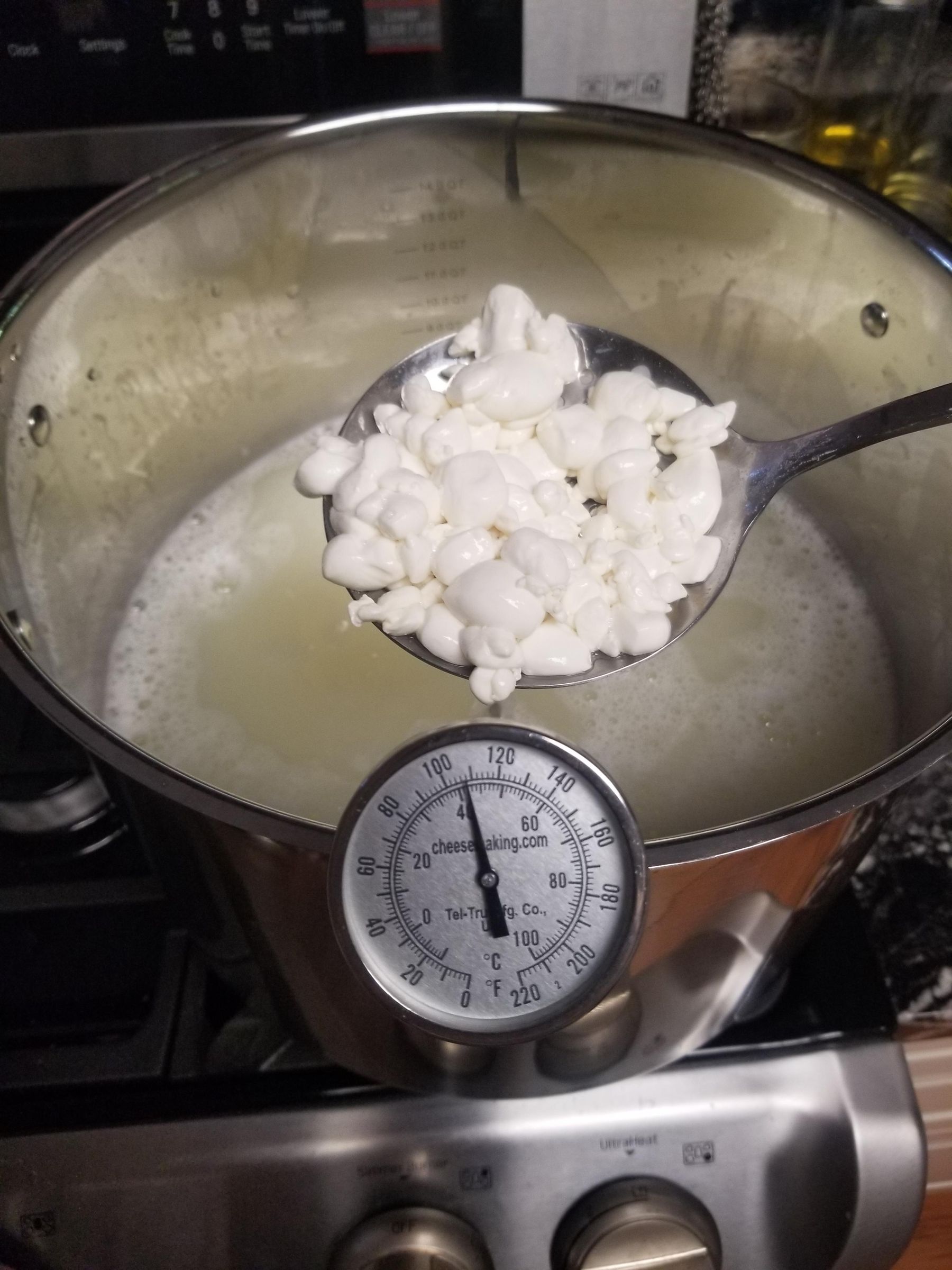 Advanced Cheesemaking : Pepper Appenzeller Cheese (with Farm Fresh Milk ...