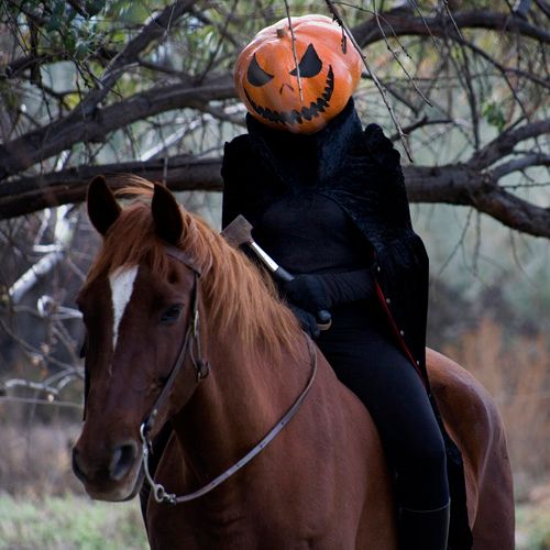 Headless Horsewoman : 11 Steps (with Pictures) - Instructables