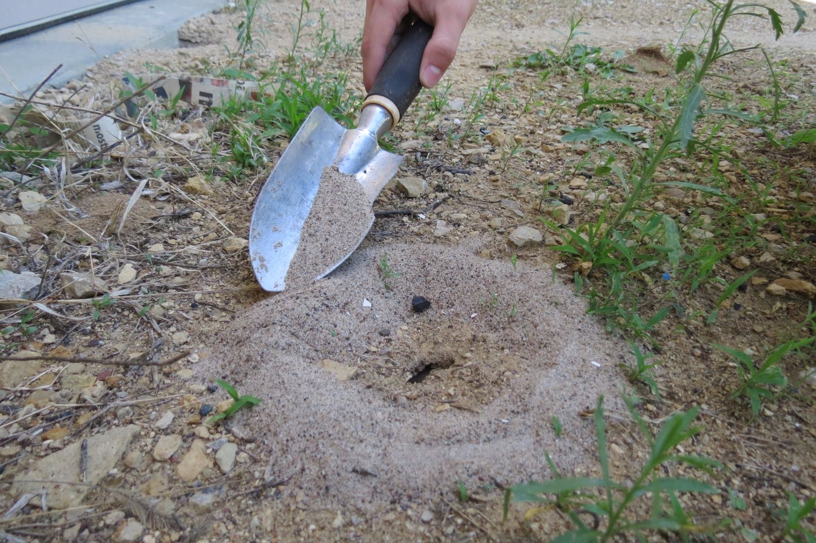 Casting an Aluminum Anthill : 8 Steps (with Pictures) - Instructables