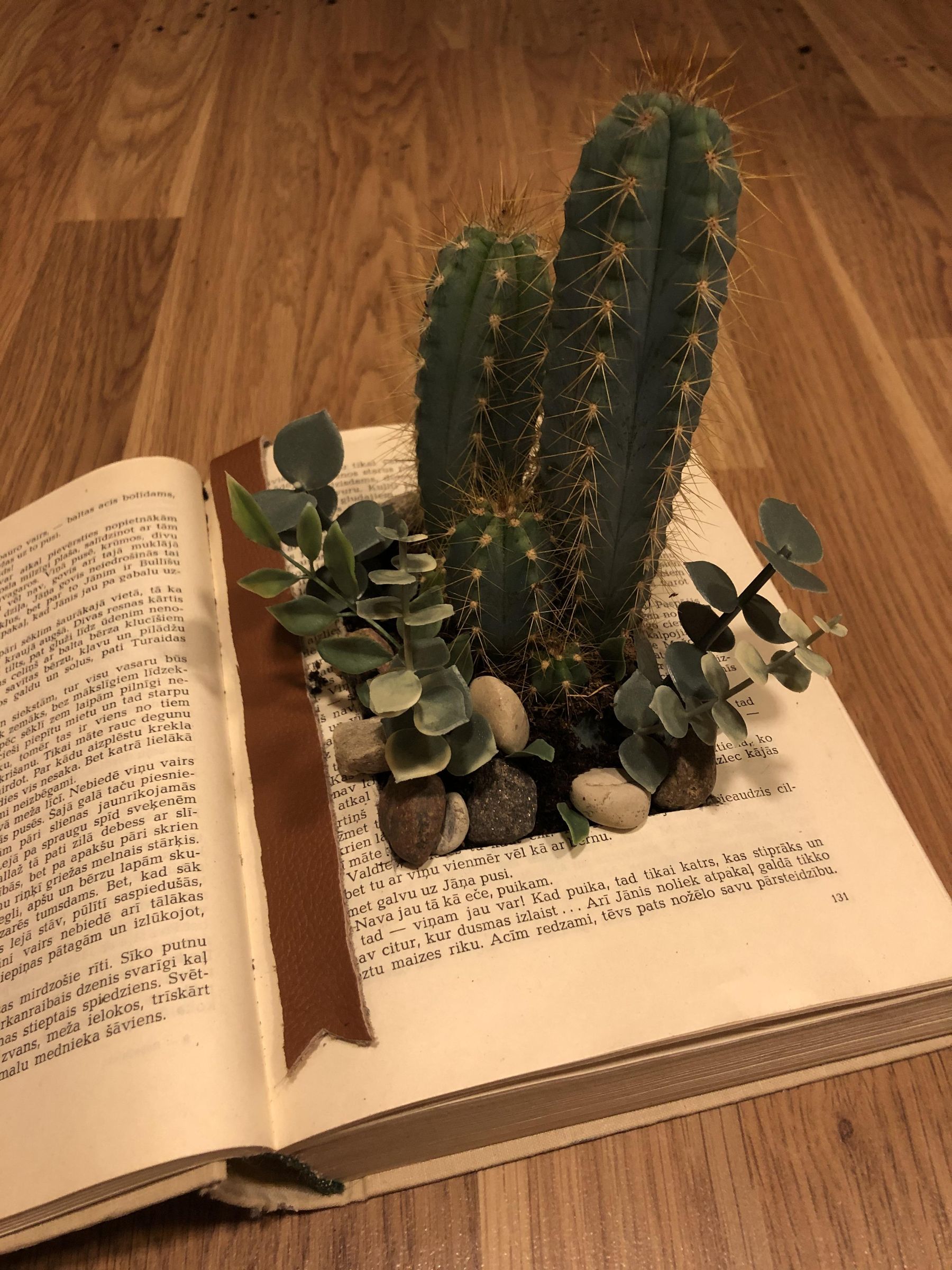 Turn an Old Book Into Magical Garden! : 4 Steps (with Pictures ...