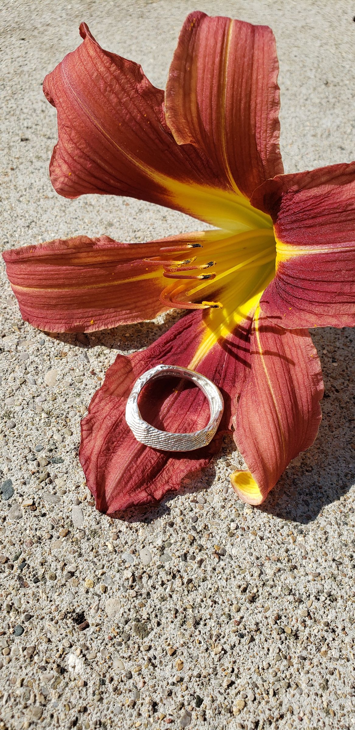 Silver Ring - Cuttlebone Cast : 13 Steps (with Pictures) - Instructables