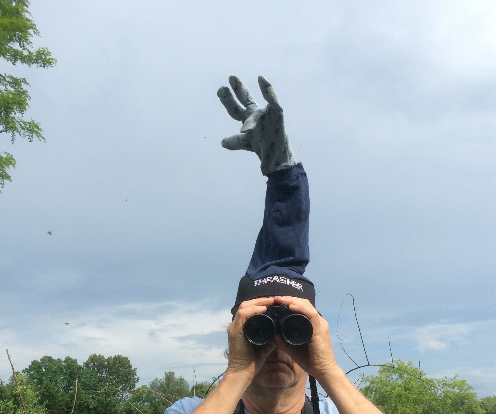 Silly Anti-Gnat Hat : 5 Steps (with Pictures) - Instructables