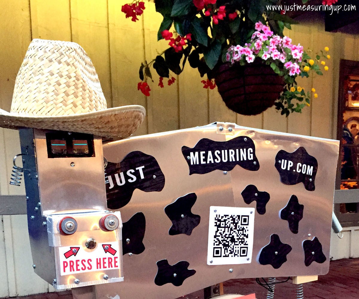 HOW TO MAKE AN AMAZING ROBOT COW SCARECROW : 16 Steps (with Pictures ...