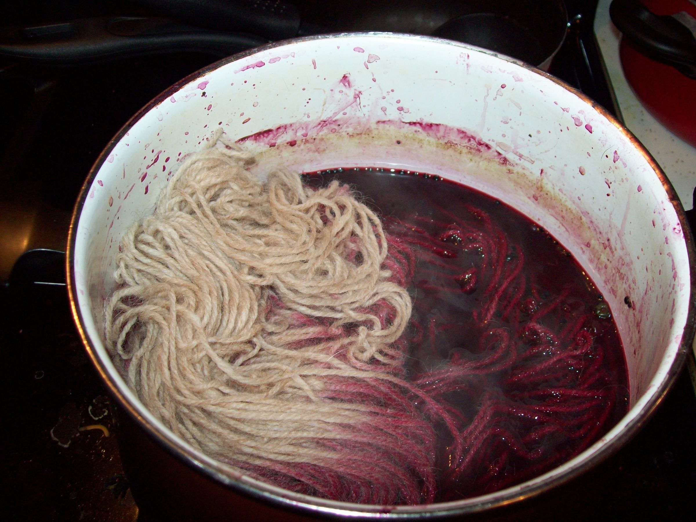 Natural Dye From Pokeweed : 6 Steps (with Pictures) - Instructables