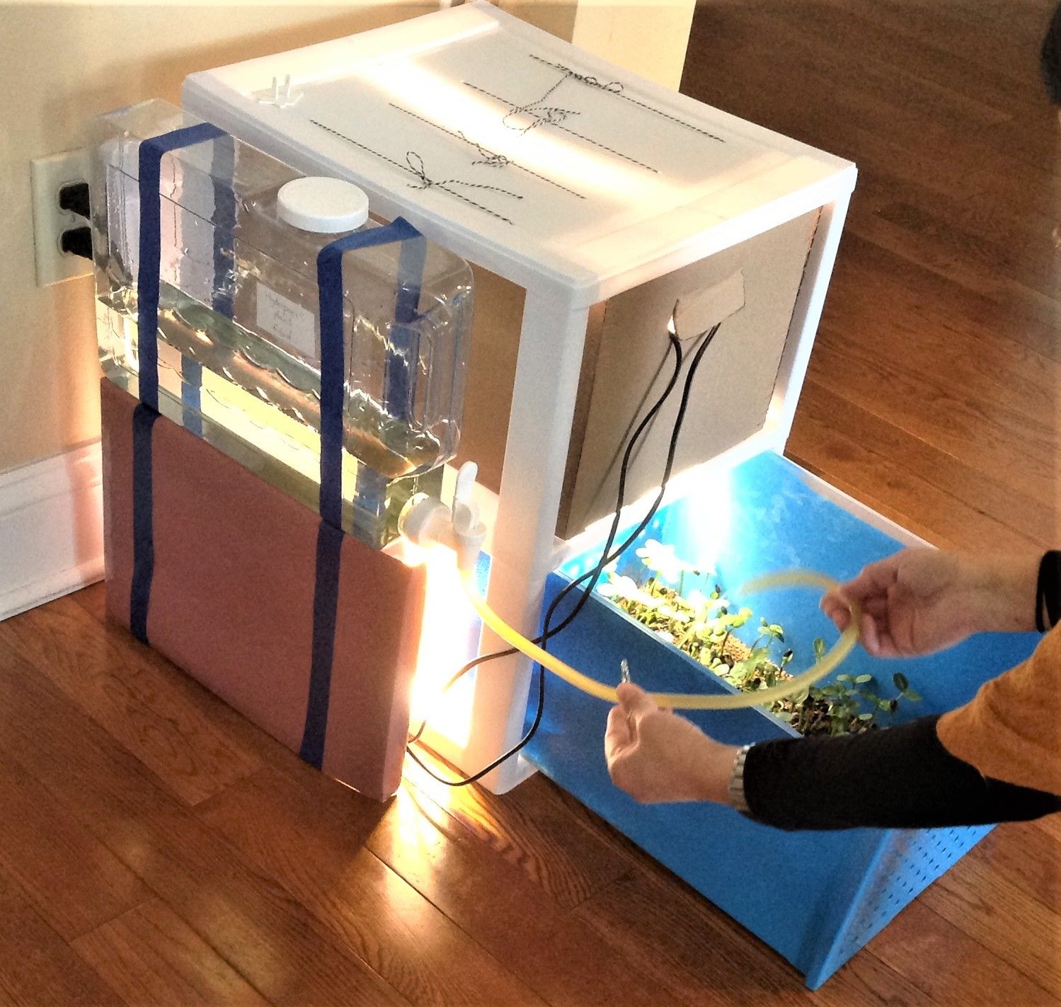 Growing Cube With Drawer for Spacecraft - Year-Round Indoor Salad ...