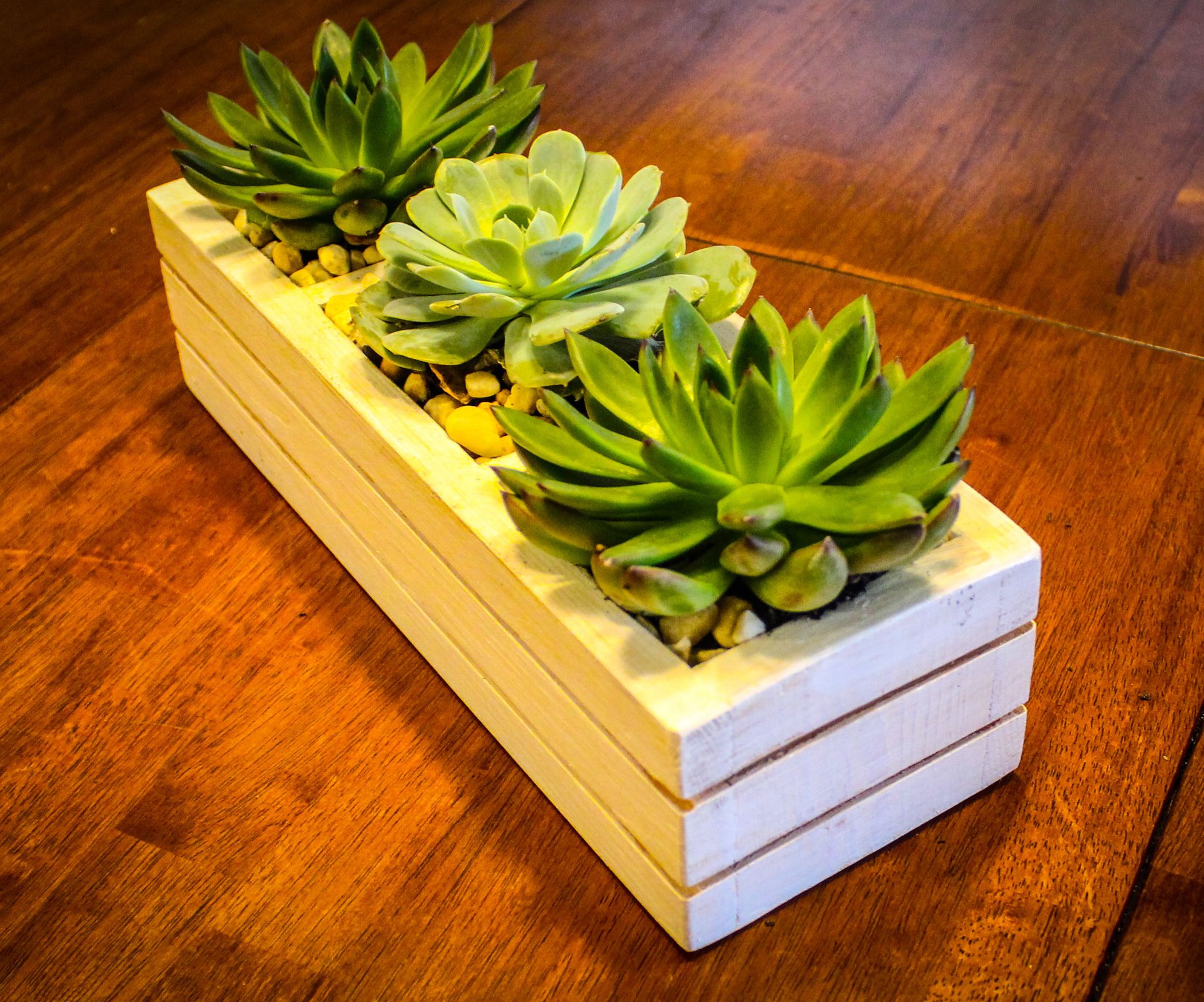 Succulent Planter From Pallets : 15 Steps (with Pictures) - Instructables