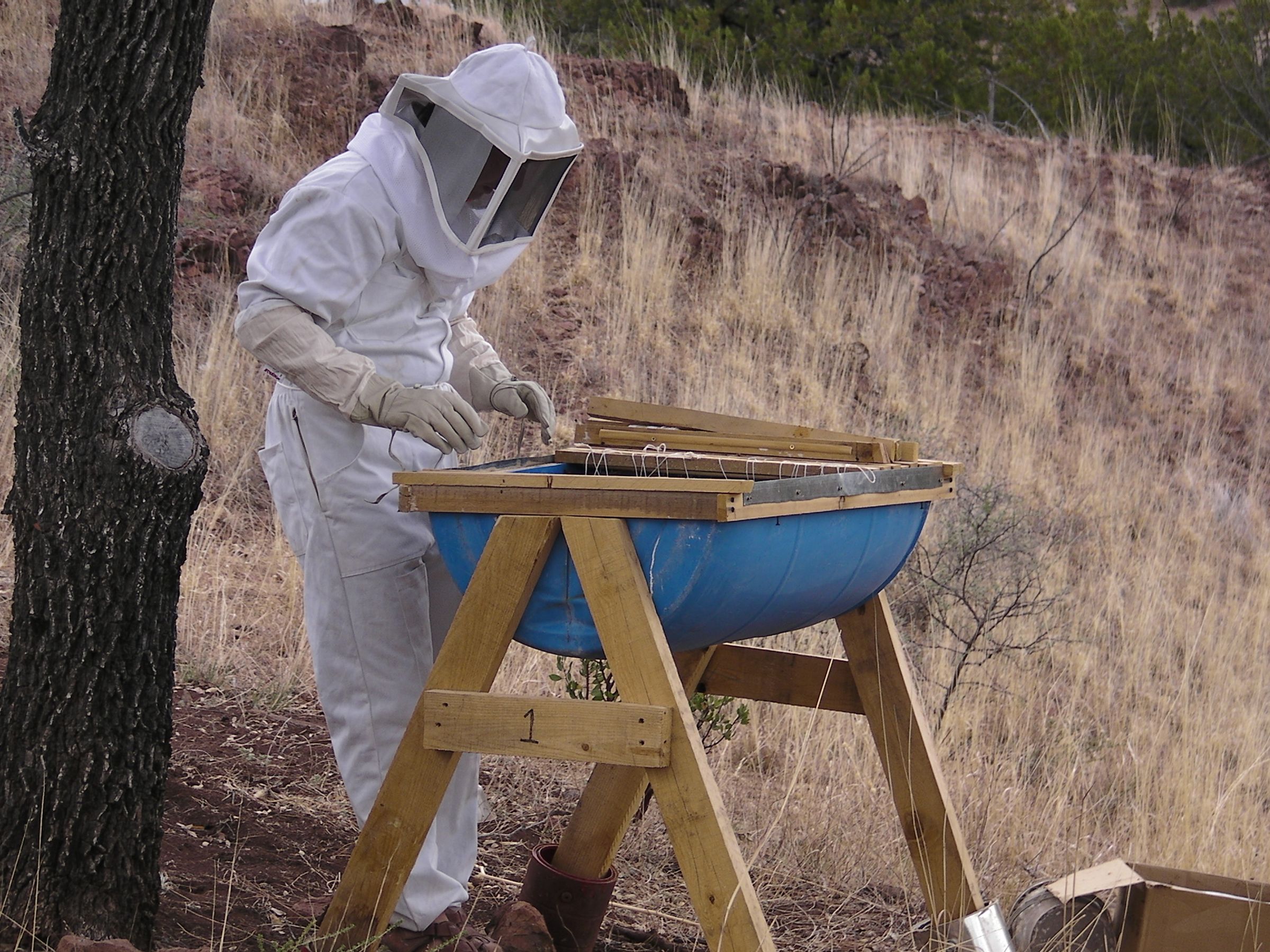Make Your Own Honey Cow (Top Bar Bee Hive) : 7 Steps (with Pictures ...