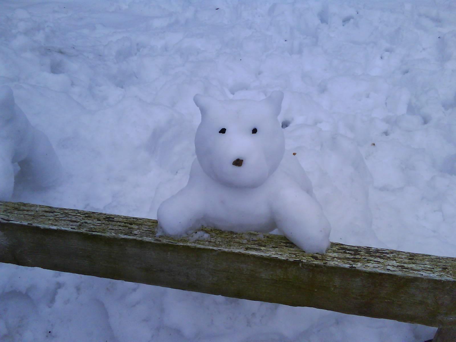 Snow Dogs : 3 Steps - Instructables