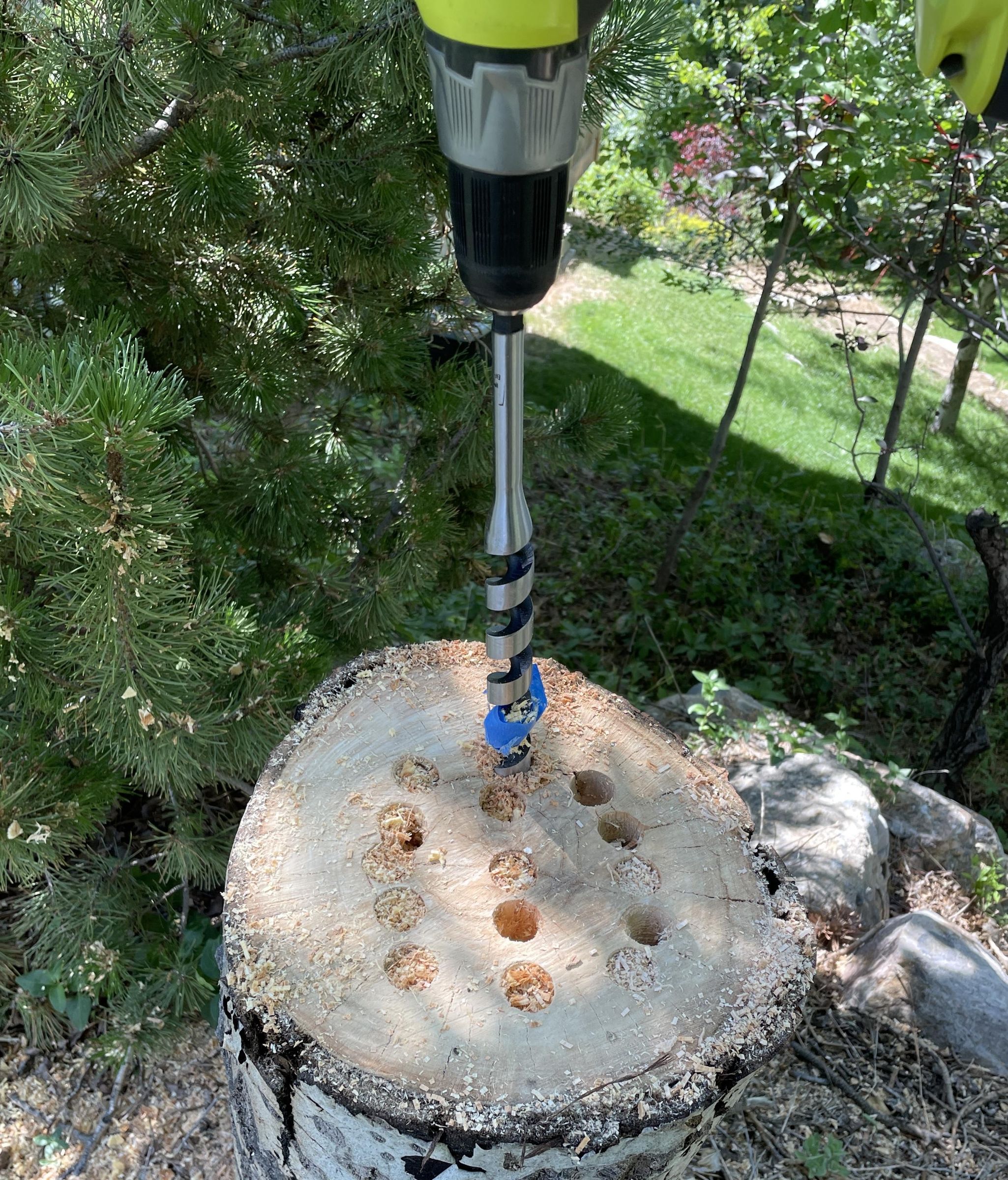 Transform a Tree Stump Into a Planter Box : 11 Steps (with Pictures ...