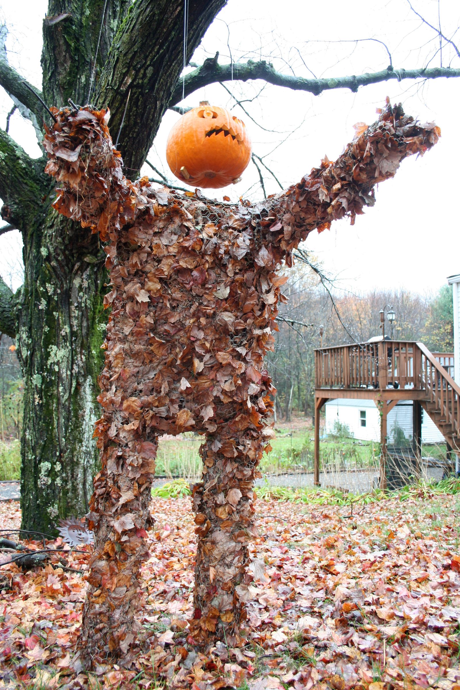 The Leafman : 3 Steps (with Pictures) - Instructables