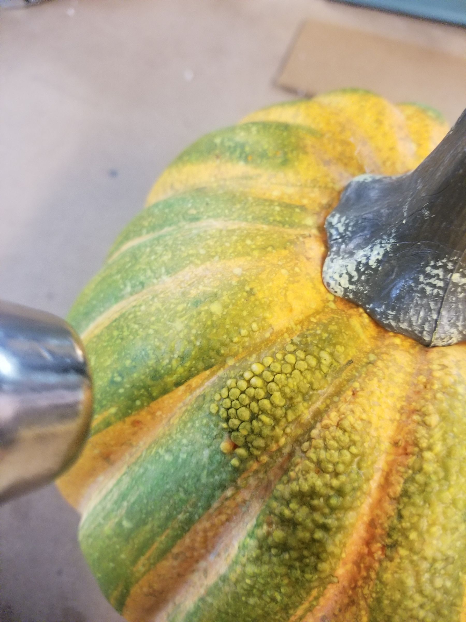 Rotten Pumpkins : 4 Steps (with Pictures) - Instructables