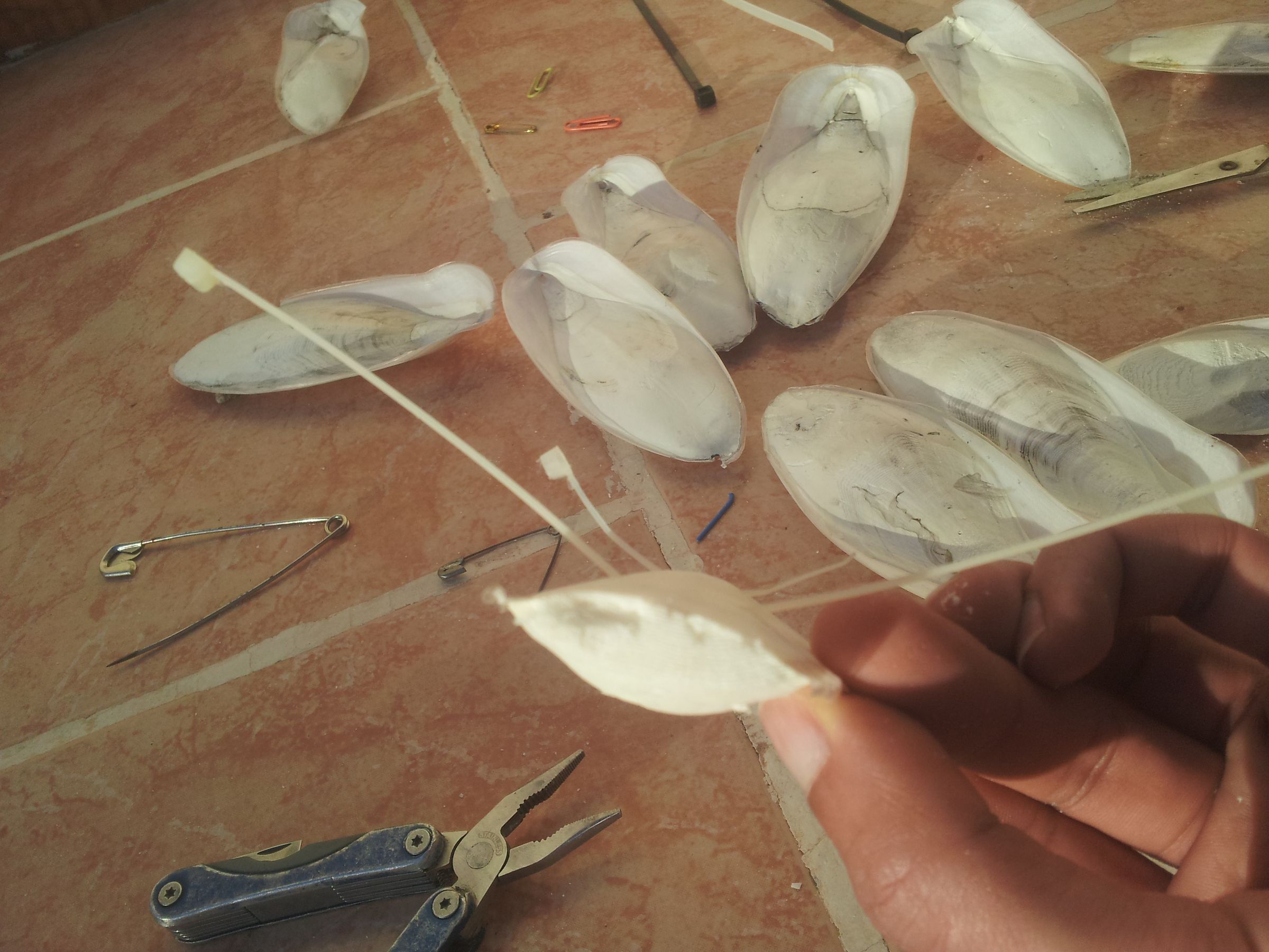 Zip Tie Cuttlebone Holder for Birds : 6 Steps - Instructables