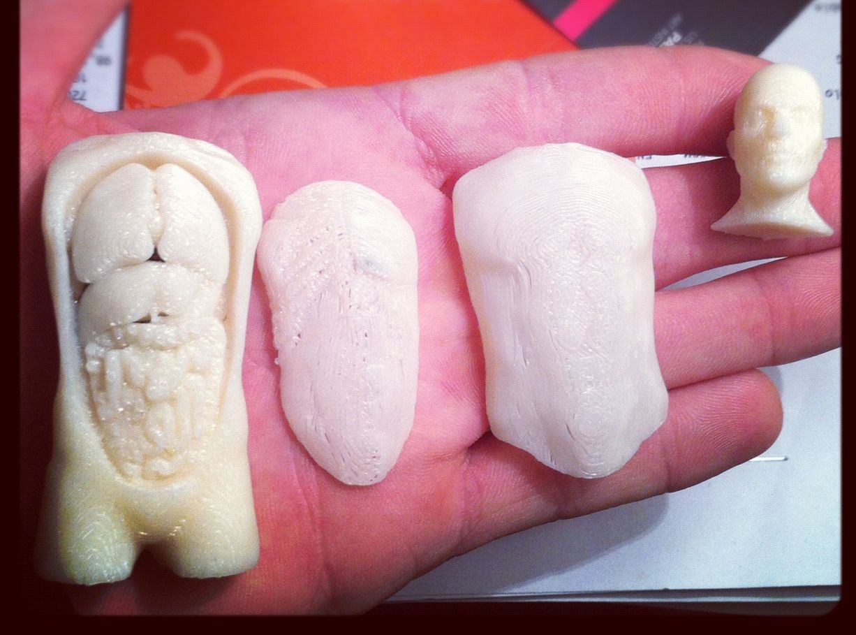 Anatomy Observation Model - Instructables