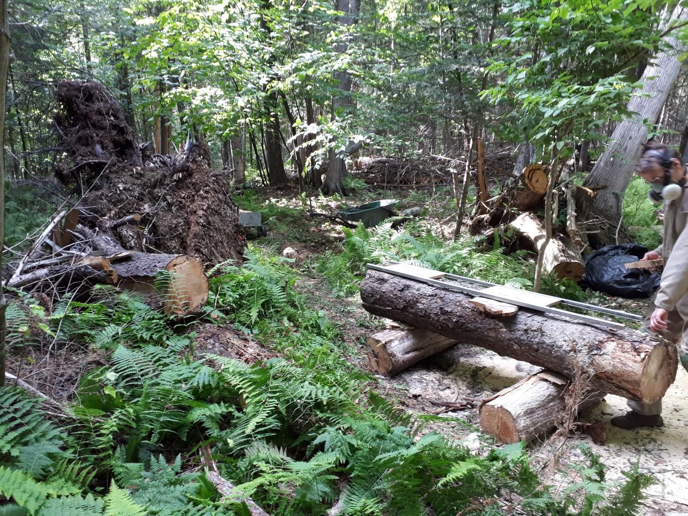 The Timber Lumber Mover : 4 Steps (with Pictures) - Instructables
