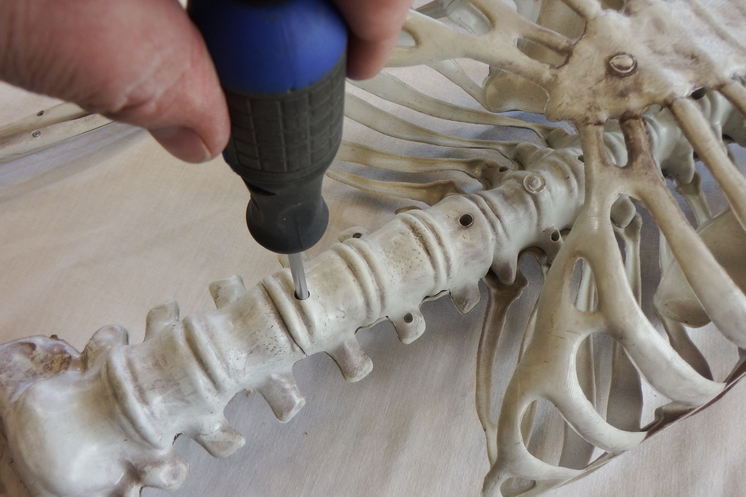 Hack and Repair Plastic Halloween Skeletons : 9 Steps - Instructables