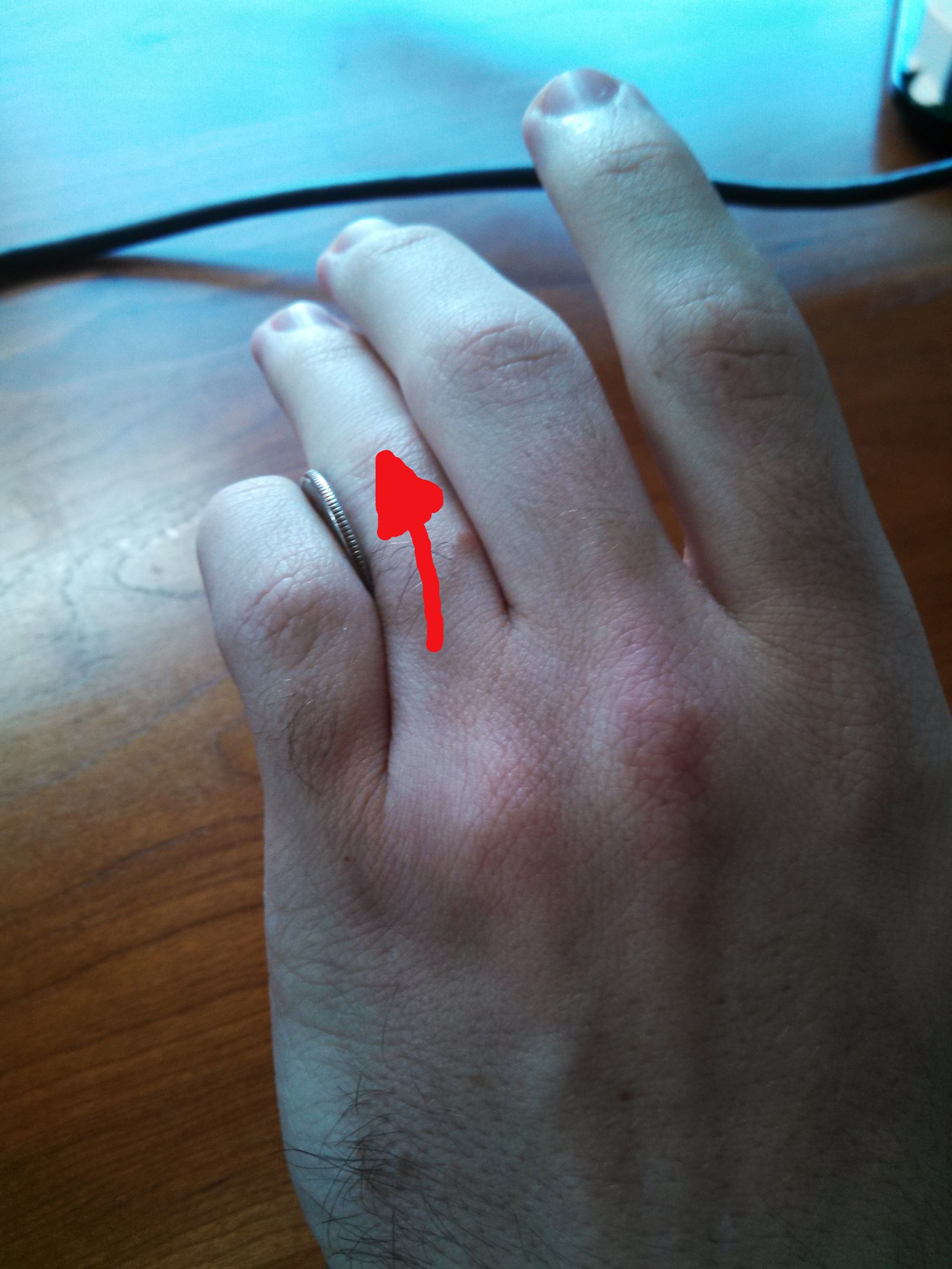 Coin Roll : 20 Steps (with Pictures) - Instructables