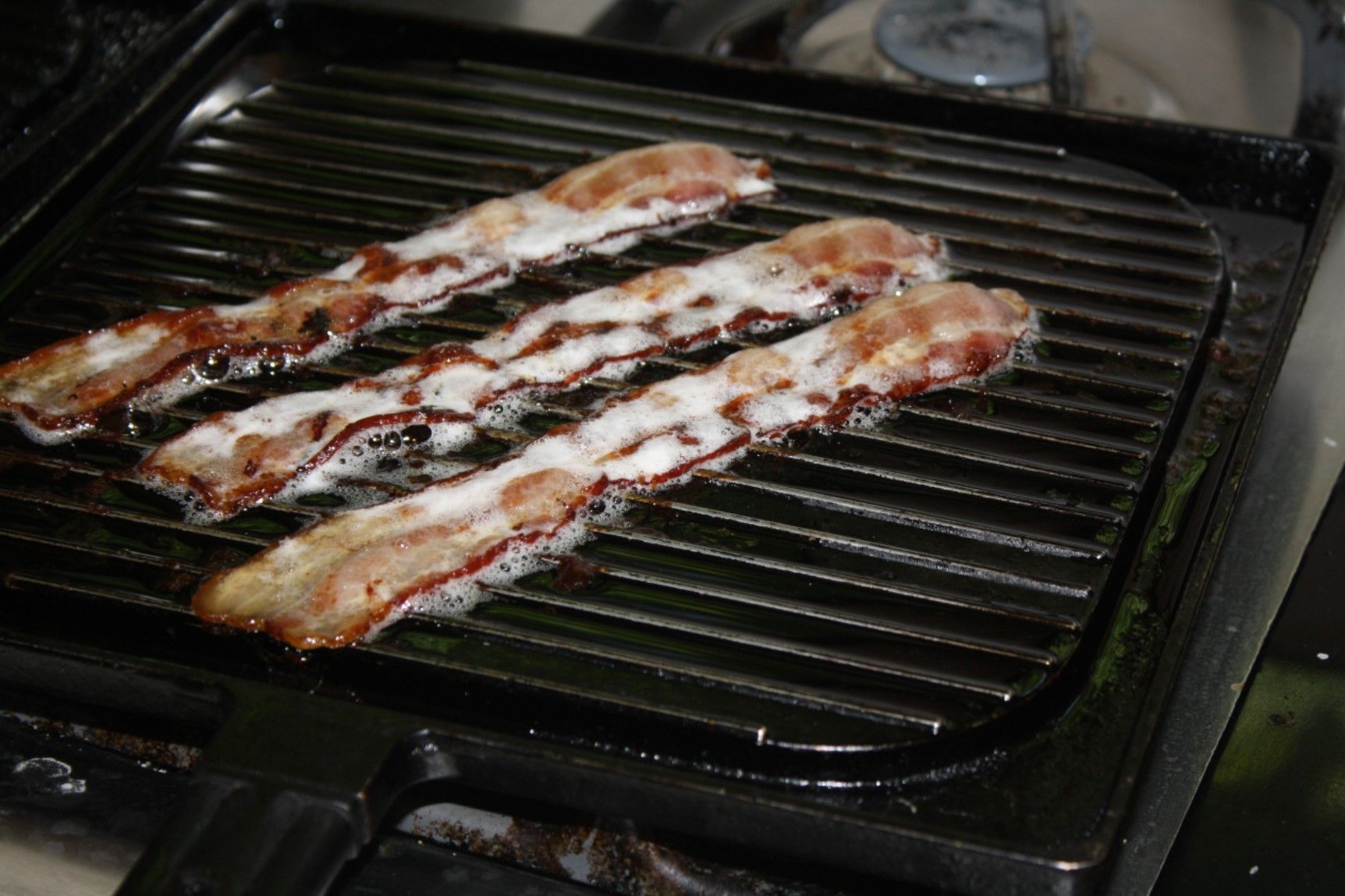 The Char Dog : 4 Steps - Instructables