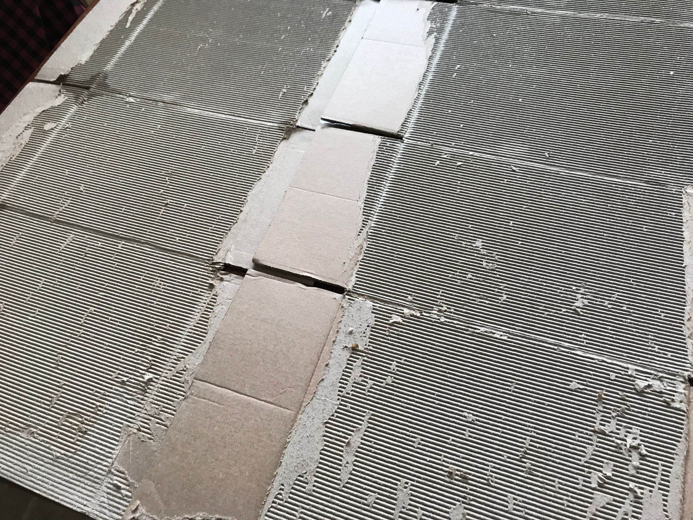 A Quick Method for Peeling Cardboard : 4 Steps (with Pictures ...