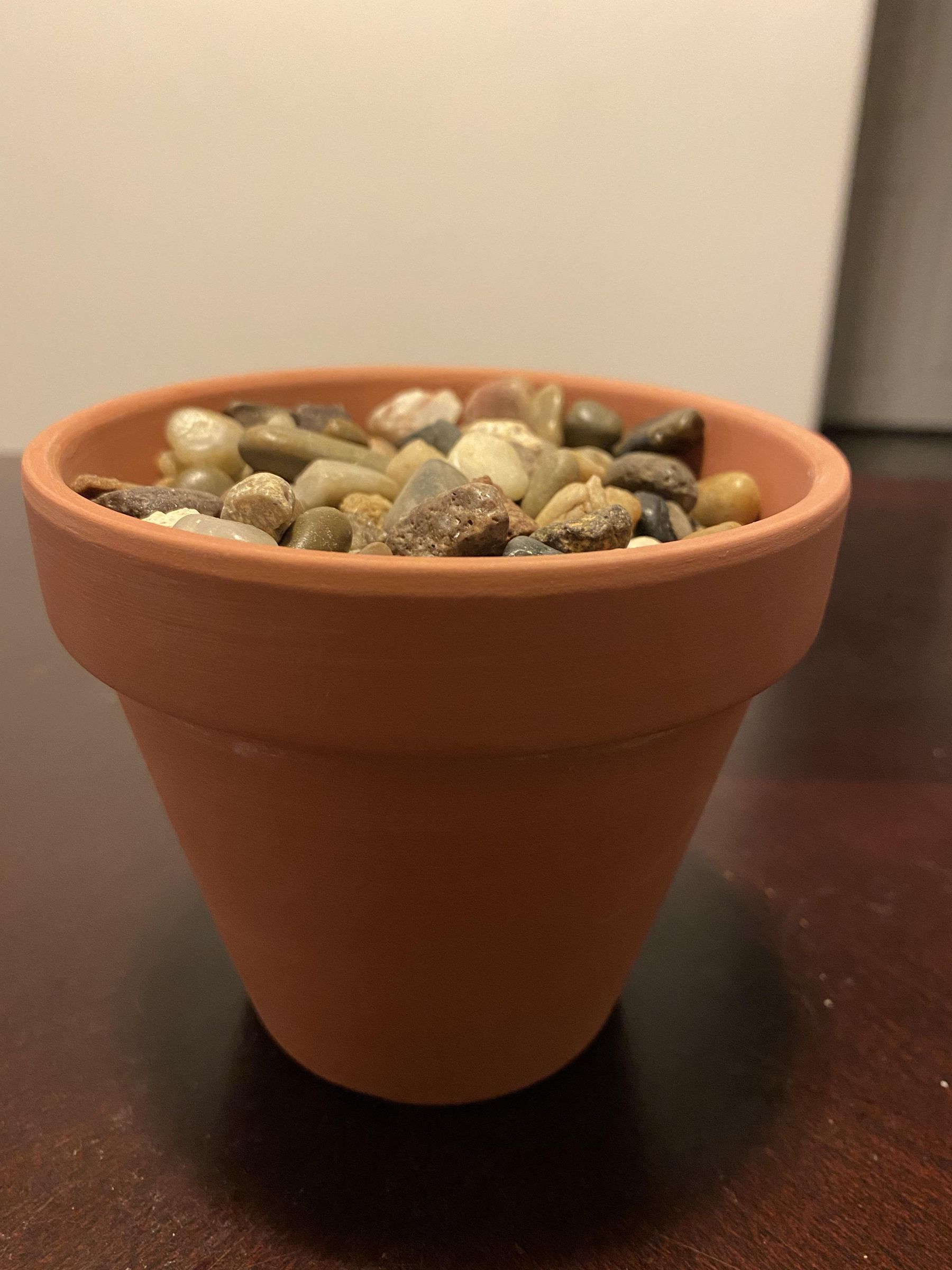 Living Rocks in a Pot : 10 Steps (with Pictures) - Instructables