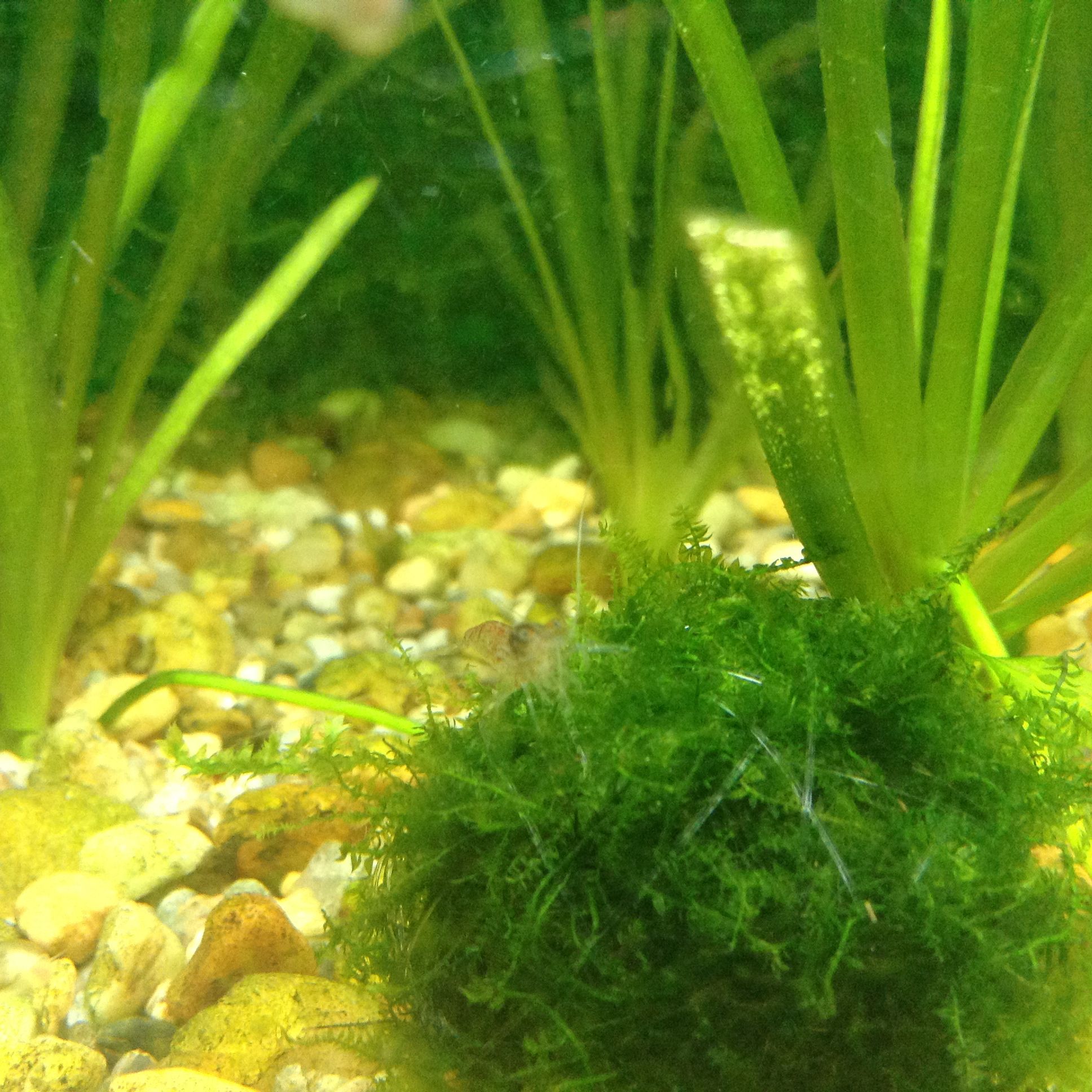 How to Build Aquarium. : 6 Steps (with Pictures) - Instructables