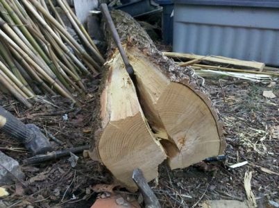 Splitting Black Locust Logs With Wedges : 7 Steps (with Pictures ...