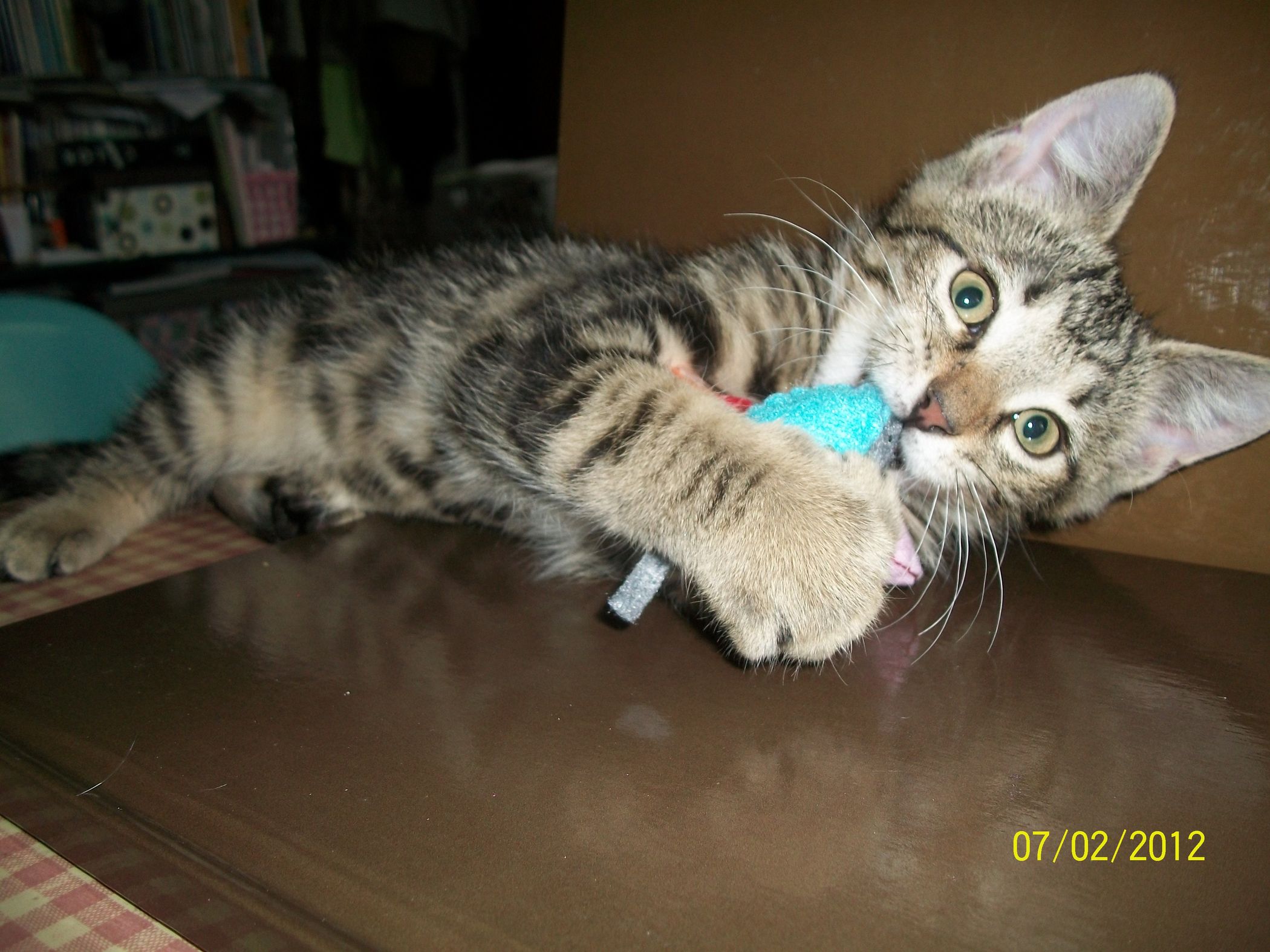 Catnip Mouse Cat Toy - Instructables
