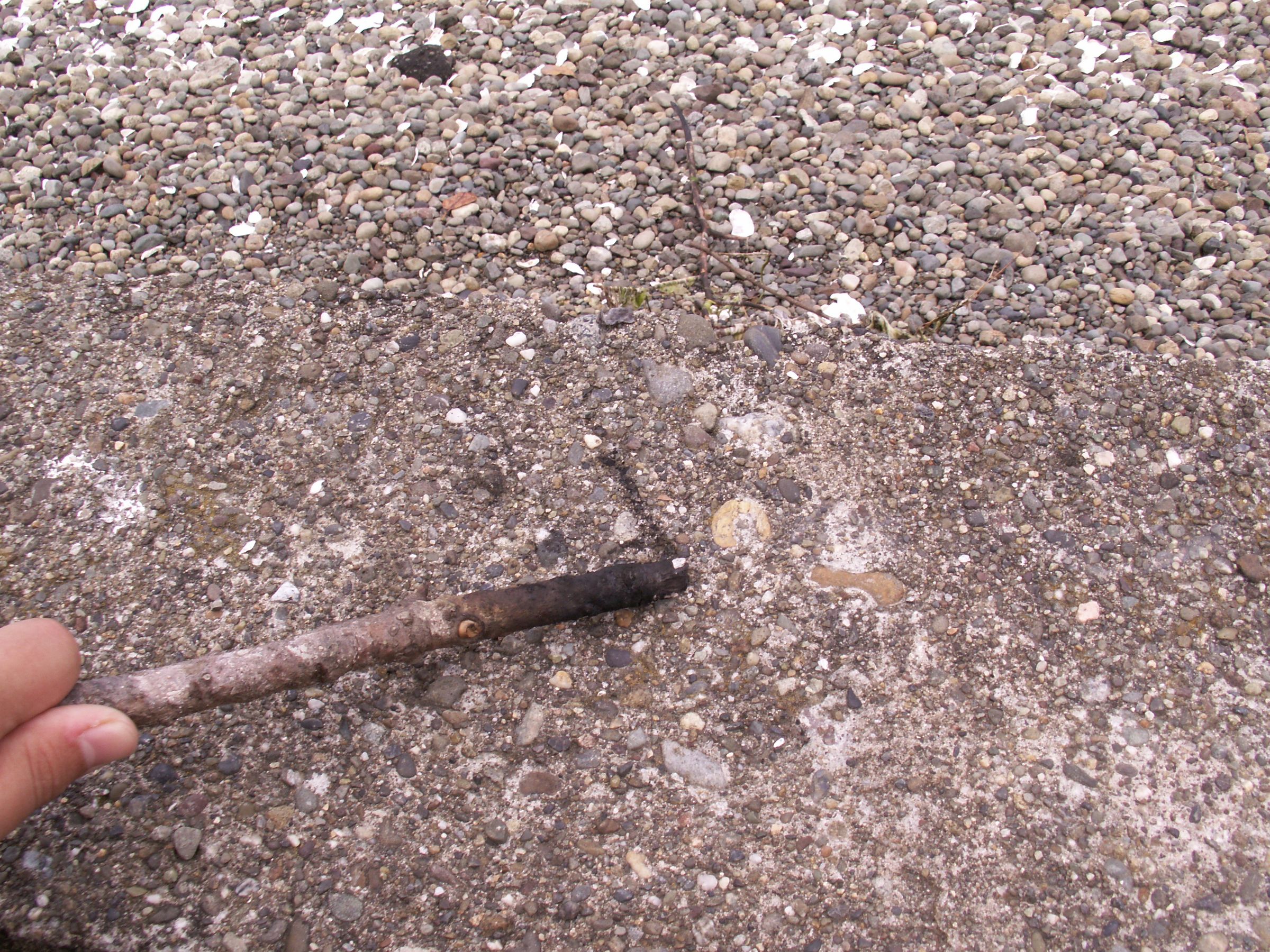 How to Sharpen a Stick With Fire. : 4 Steps - Instructables