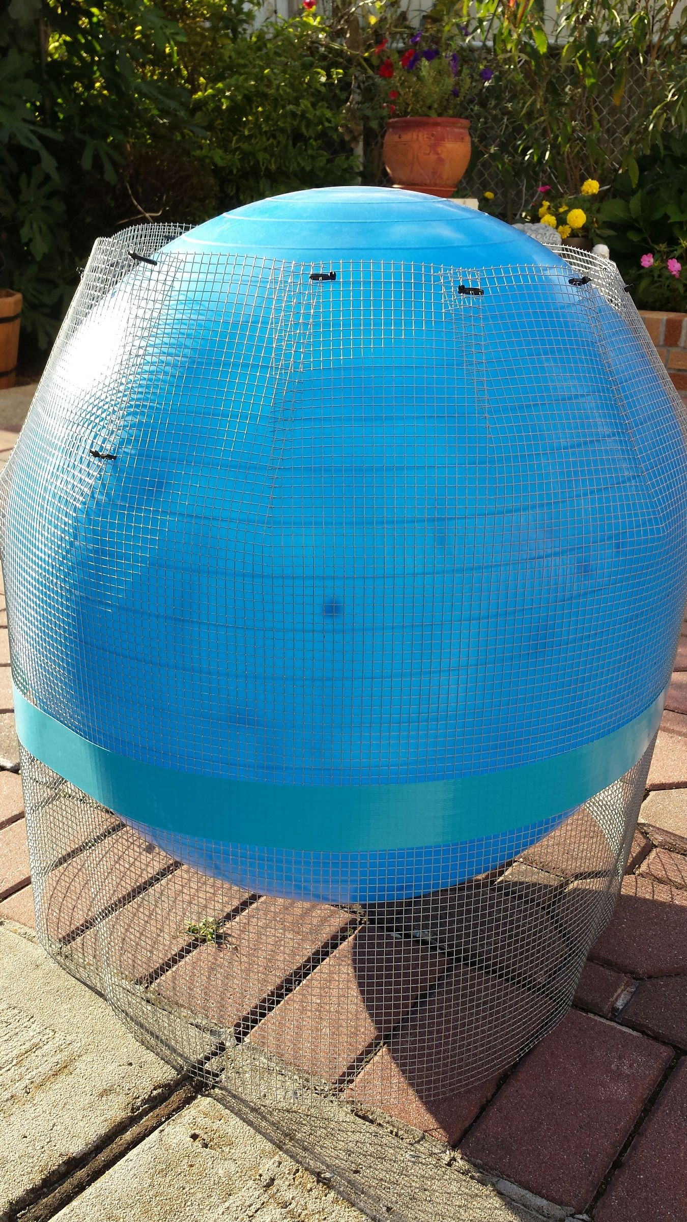 Creating a Rotten Olive : 7 Steps (with Pictures) - Instructables