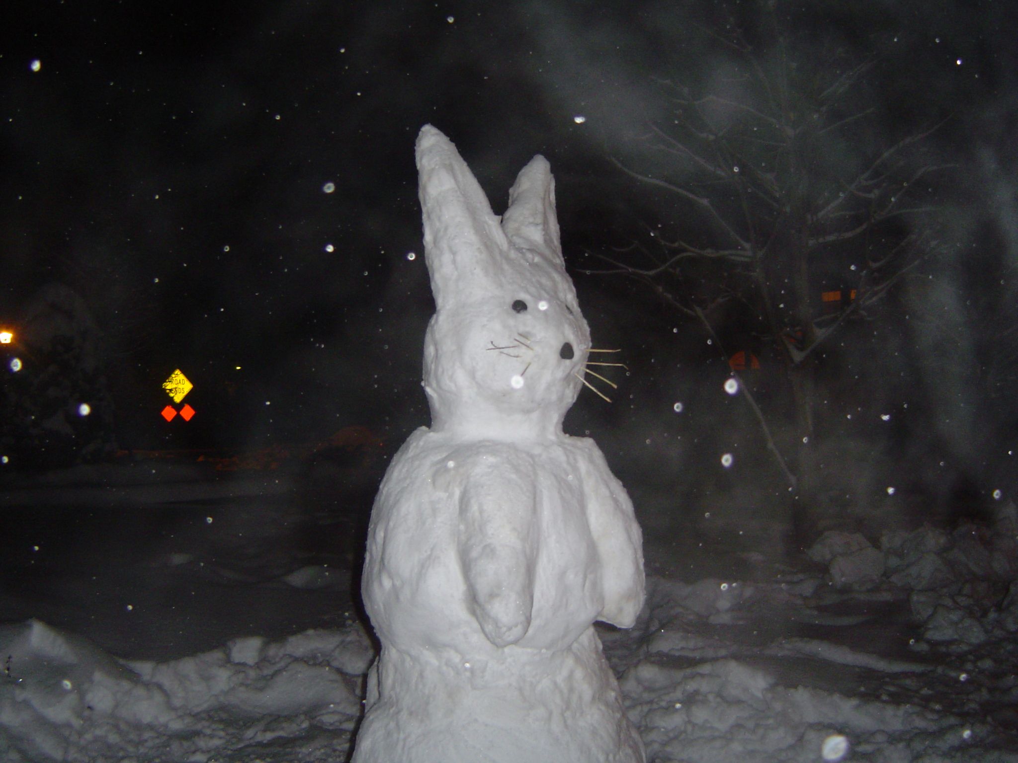 Snow Rabbit! - Instructables