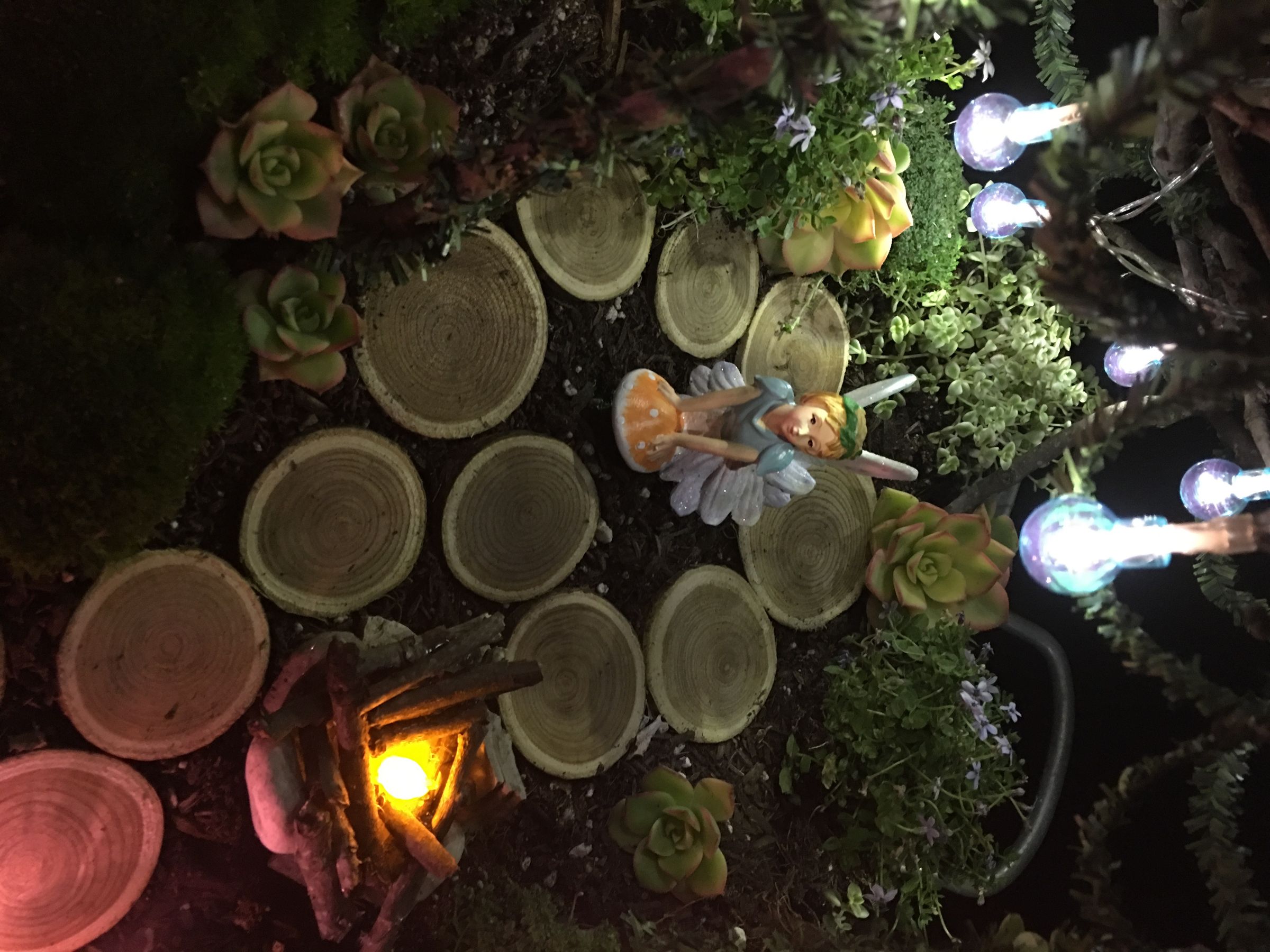 a Magical Lighted Fairy Garden! : 8 Steps (with Pictures) - Instructables