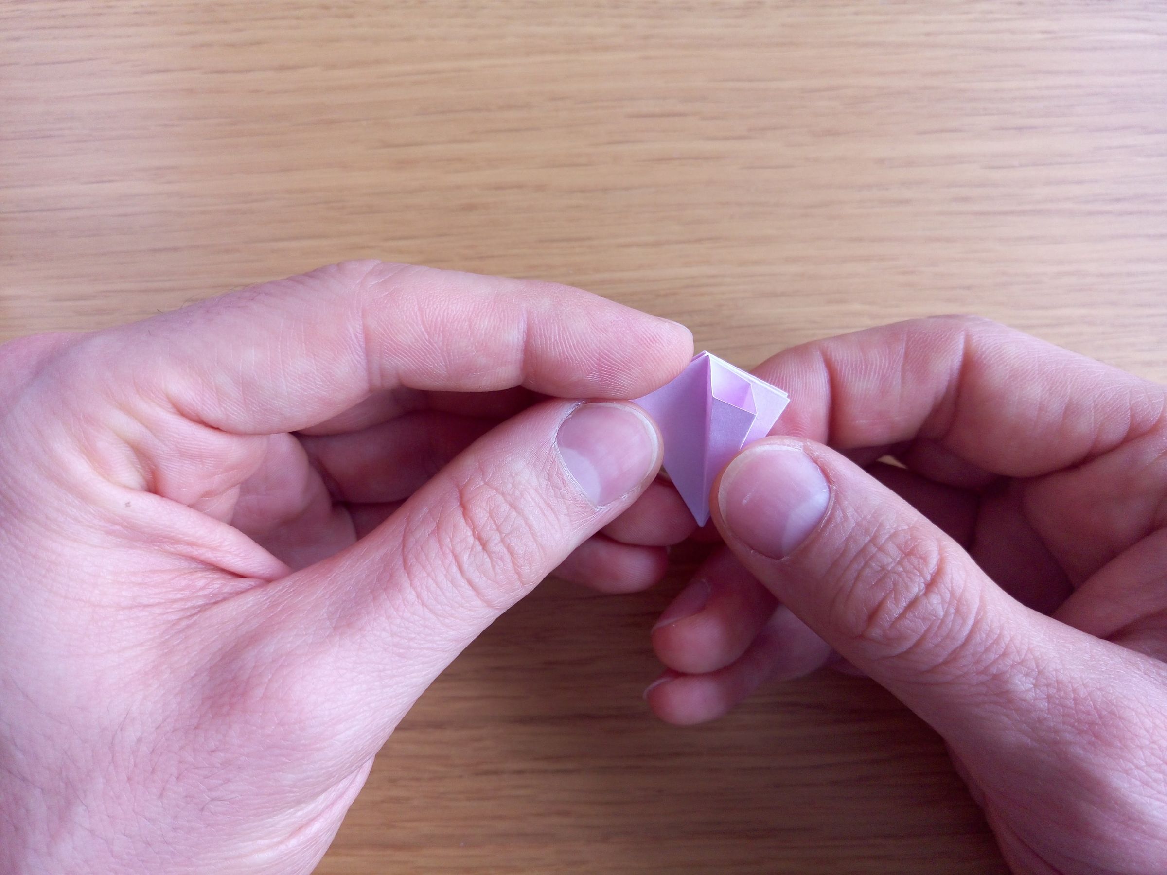Origami Hyacinth : 9 Steps (with Pictures) - Instructables