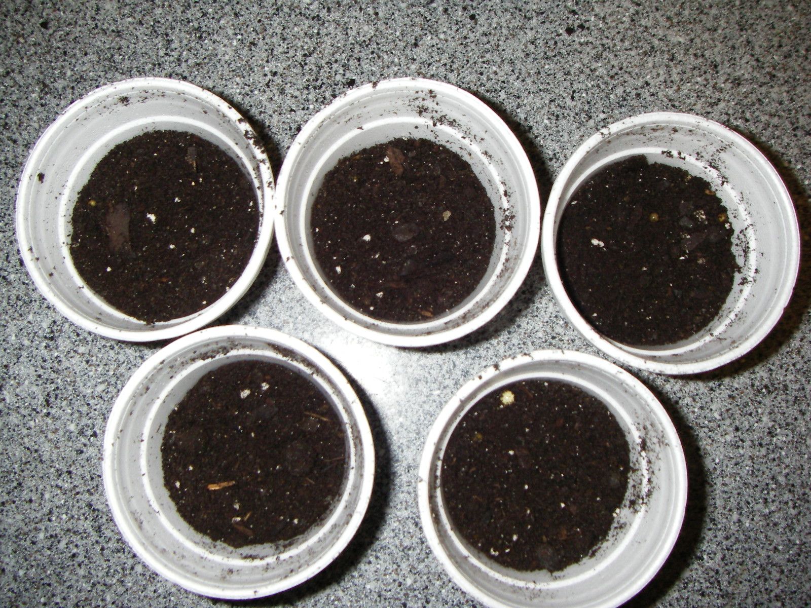 Building a Miniature Greenhouse for $10 : 26 Steps - Instructables