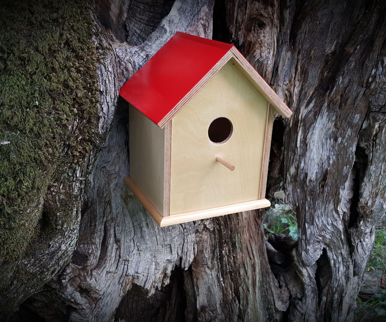 Making a Birdhouse : 11 Steps (with Pictures) - Instructables