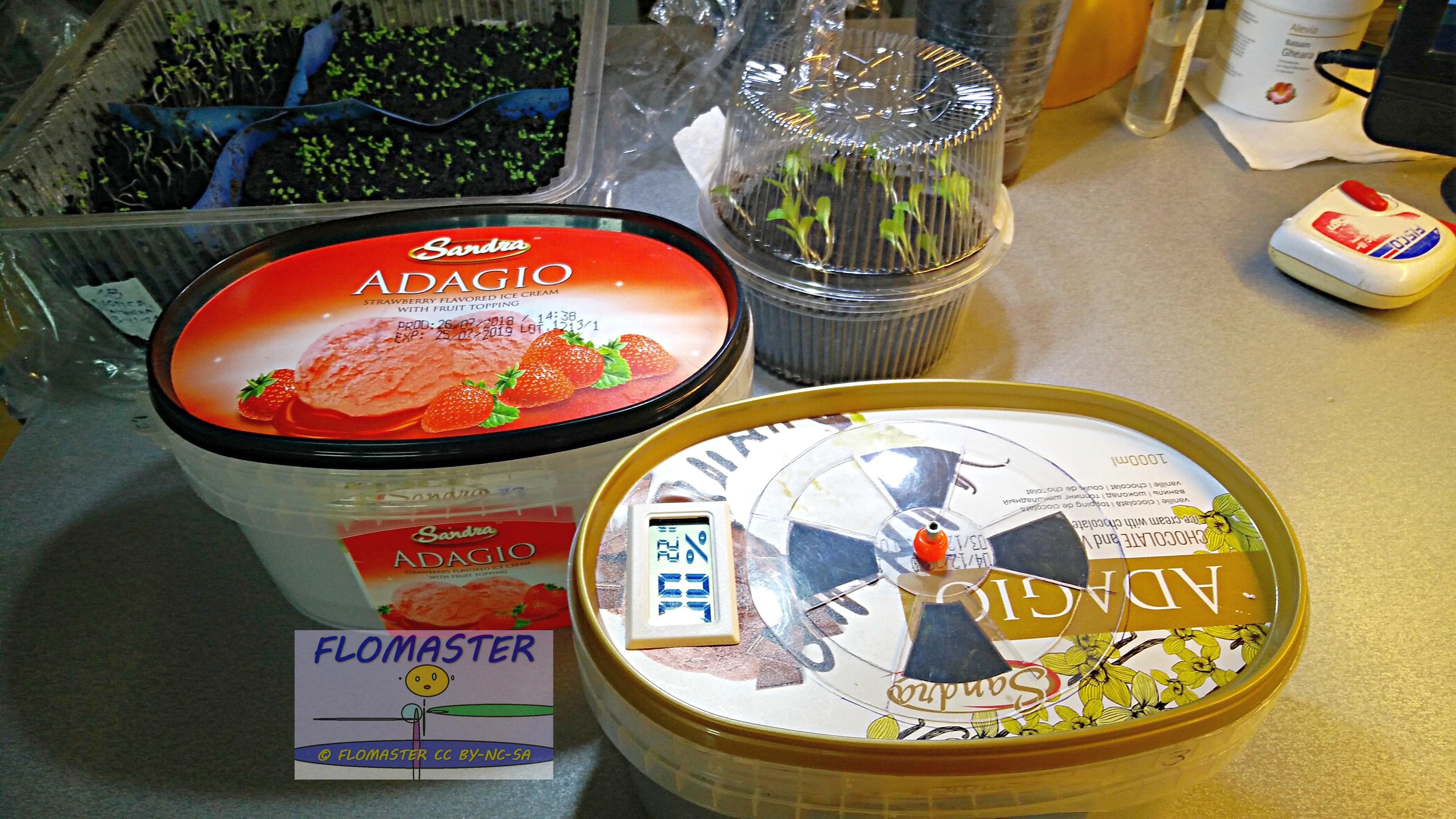 🌼 DIY Seedling Propagator From Recycled Plastic Container 🌼 : 12 Steps ...